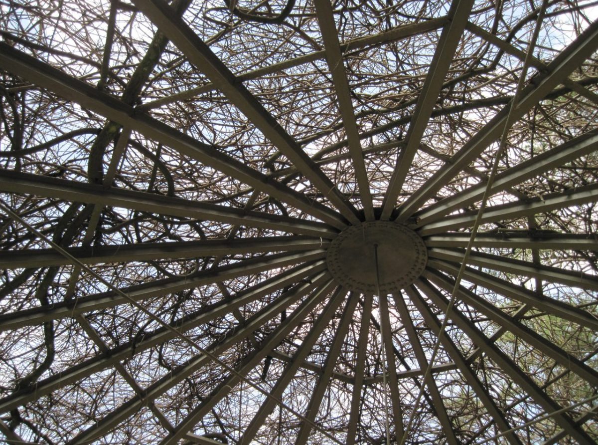 About | Peter J. Stavros