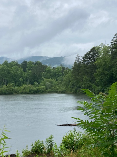 Blog | Peter J. Stavros | WRITER